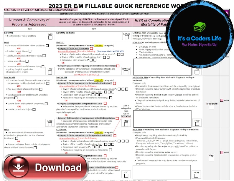AMA'S 2023 (9 Pages) Fillable E/M MDM Guide Printable PDF Portfolio Download - Etsy
