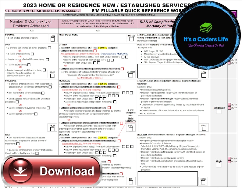 AMA'S 2023 (9 Pages) Fillable E/M MDM Guide Printable PDF Portfolio ...
