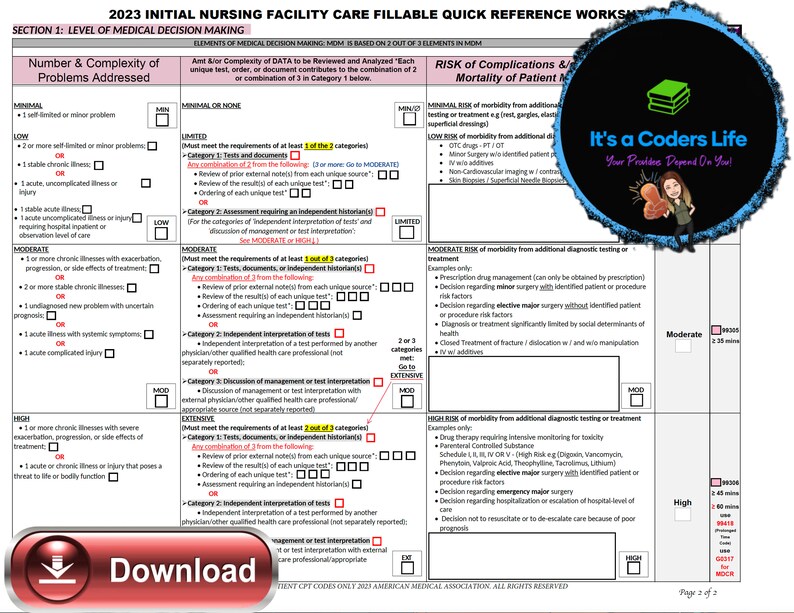 AMA 2023 Fillable Initial / Subsequent Nursing Facility Care Audit Tool ...