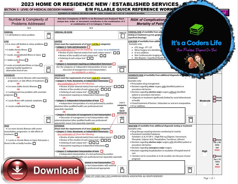 AMA 2023 Fillable Home or Resident new / Established Services Audit Tool and Worksheet - Etsy