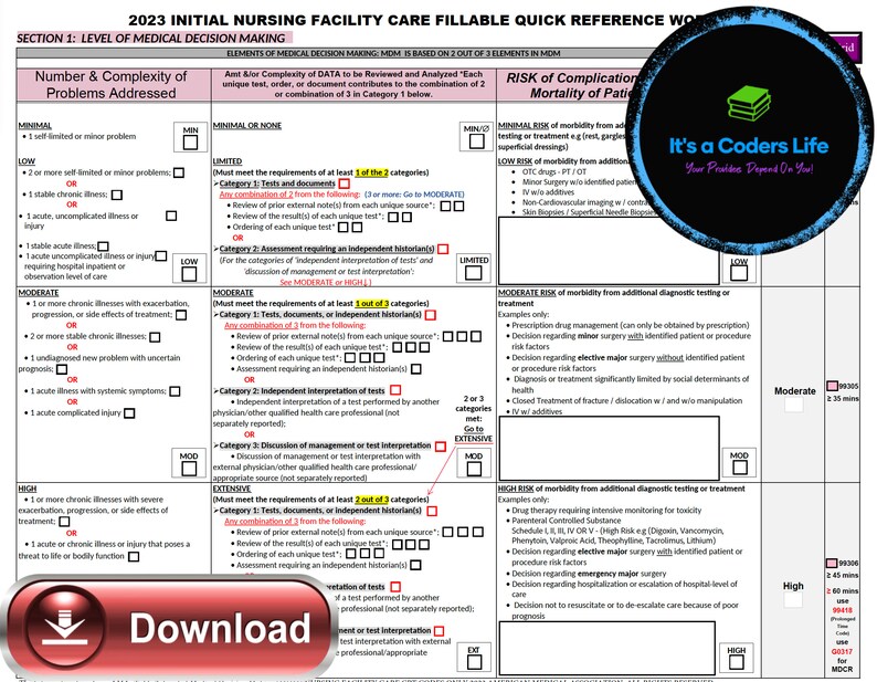AMA 2023 Fillable Initial / Subsequent Nursing Facility Care Audit Tool ...