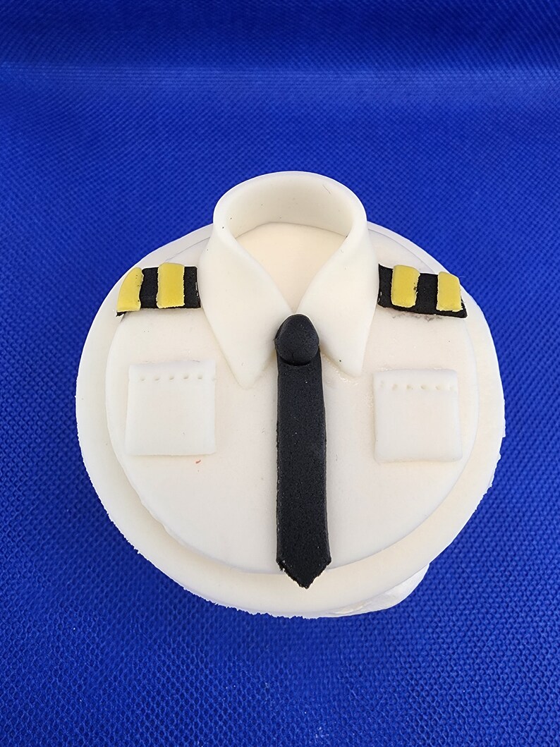 Pilot Cake Airplane Cupcake Topper for Pilot Party for Adult Fondant ...