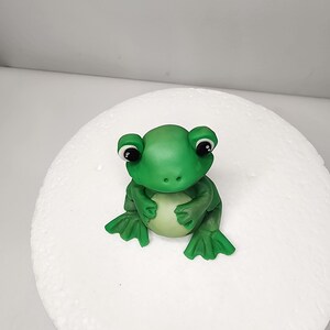 Frog Cake Topper for Birthday Cake Frog Themed Baby Shower - Etsy