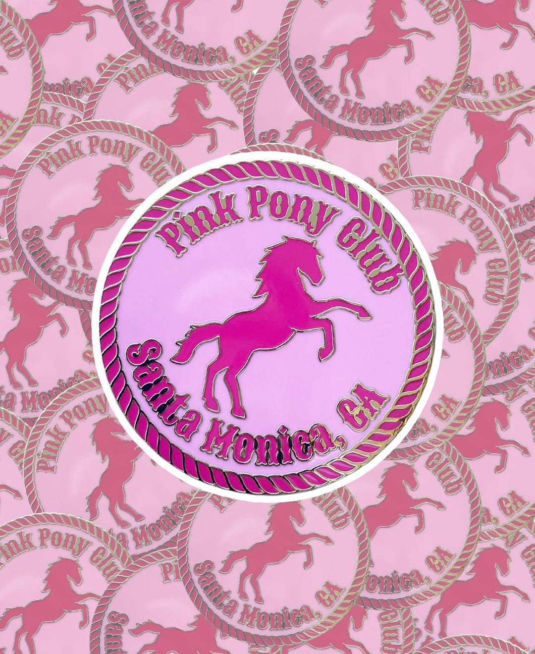 Pink Pony Club Hard Enamel Pin Chappell Roan Country Music Pop Singer ...
