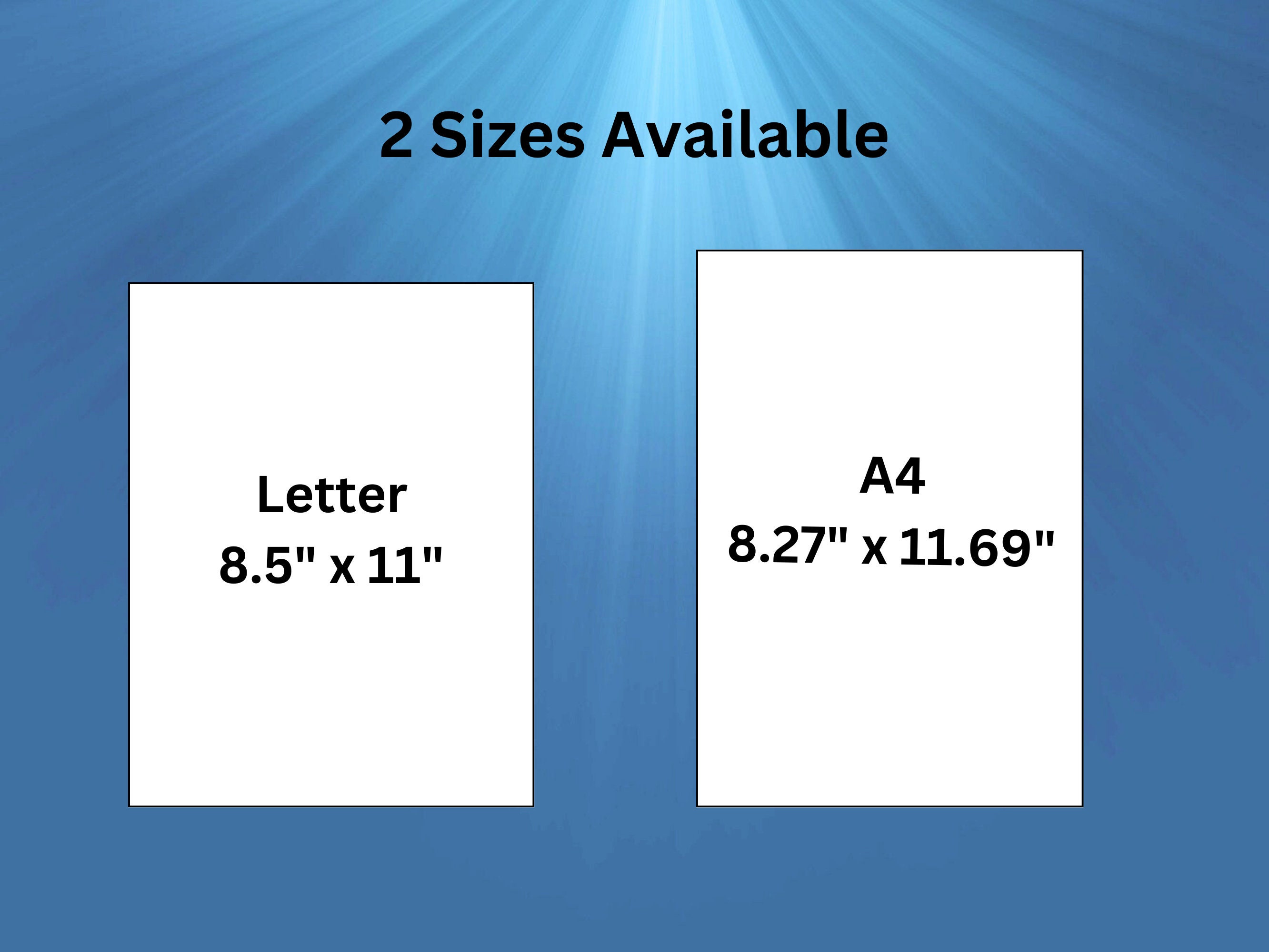 Vehicle Information Chart History Template Page Printable - Etsy