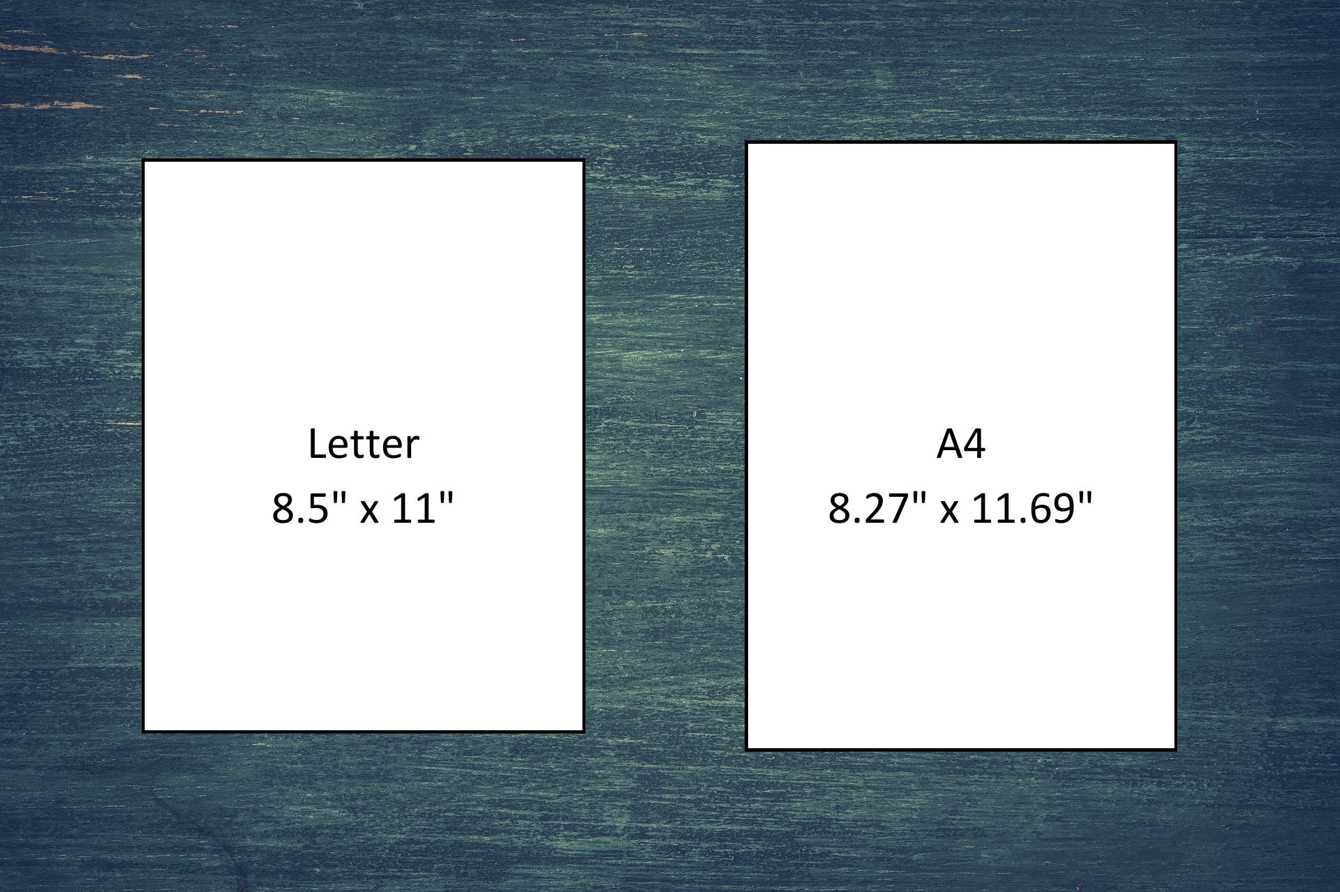 Pet Vaccination Record Chart Printable - Etsy