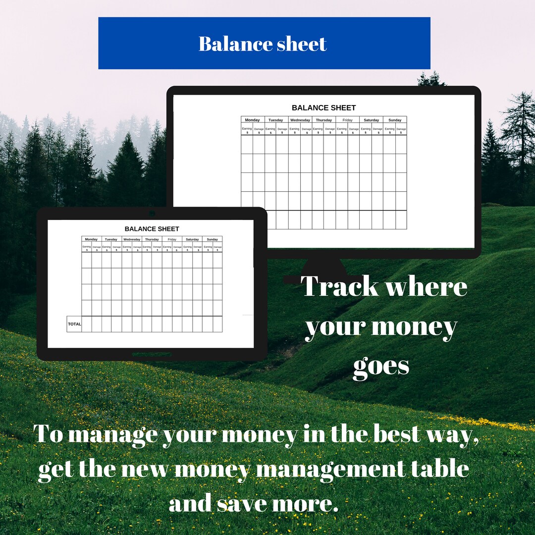 Balance Sheet Calculator, Money Management Sheet, Weekly Planner ...