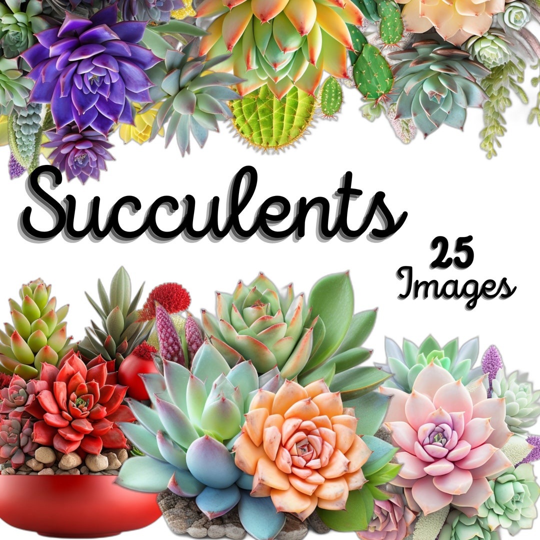 Realistic Succulent Clipart, Cactus Clipart, Scrapbook Clipart, Wedding ...