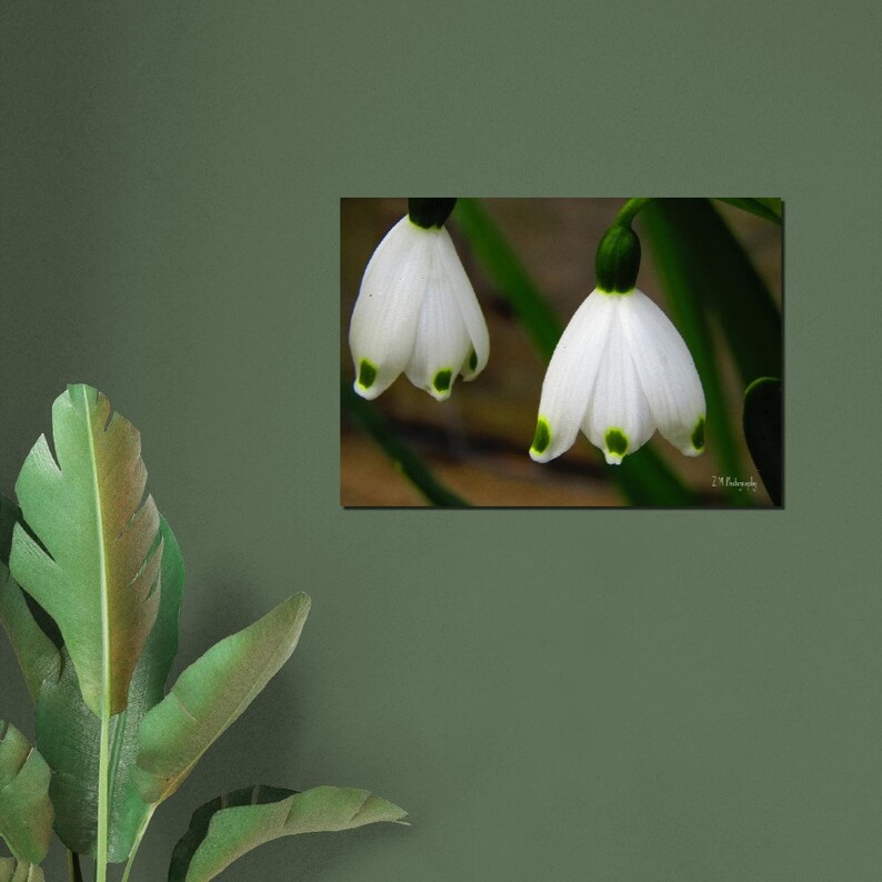 Snowbells - Etsy