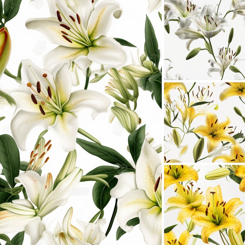 Lily Patterns - Popular Types, Seamless Tiles, 300 DPI, 12inch, JPG ...