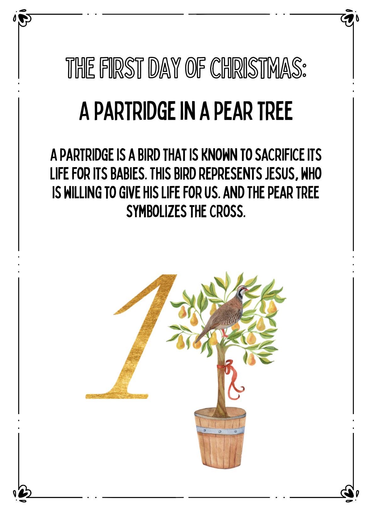 The 12 Days of Christmas Book | Holiday Activities | Christmas ...