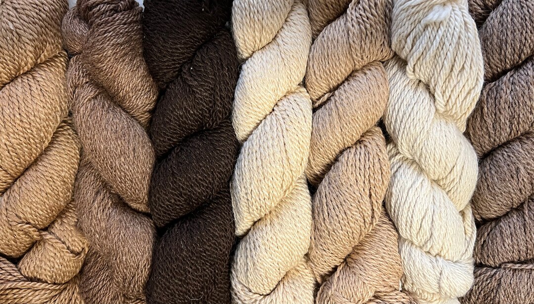 Alpaca Fiber 10% Silk, Sport Weight, All Natural, No Dye, 2 Ply ...