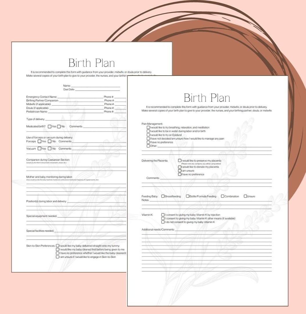 Labor and Delivery Birth Plan for Mothers, Printable PDF - Etsy