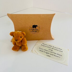 Bear Hug, Hug in a Box, Pocket Hug, Mini Teddy Bear, Long Distance Hug ...