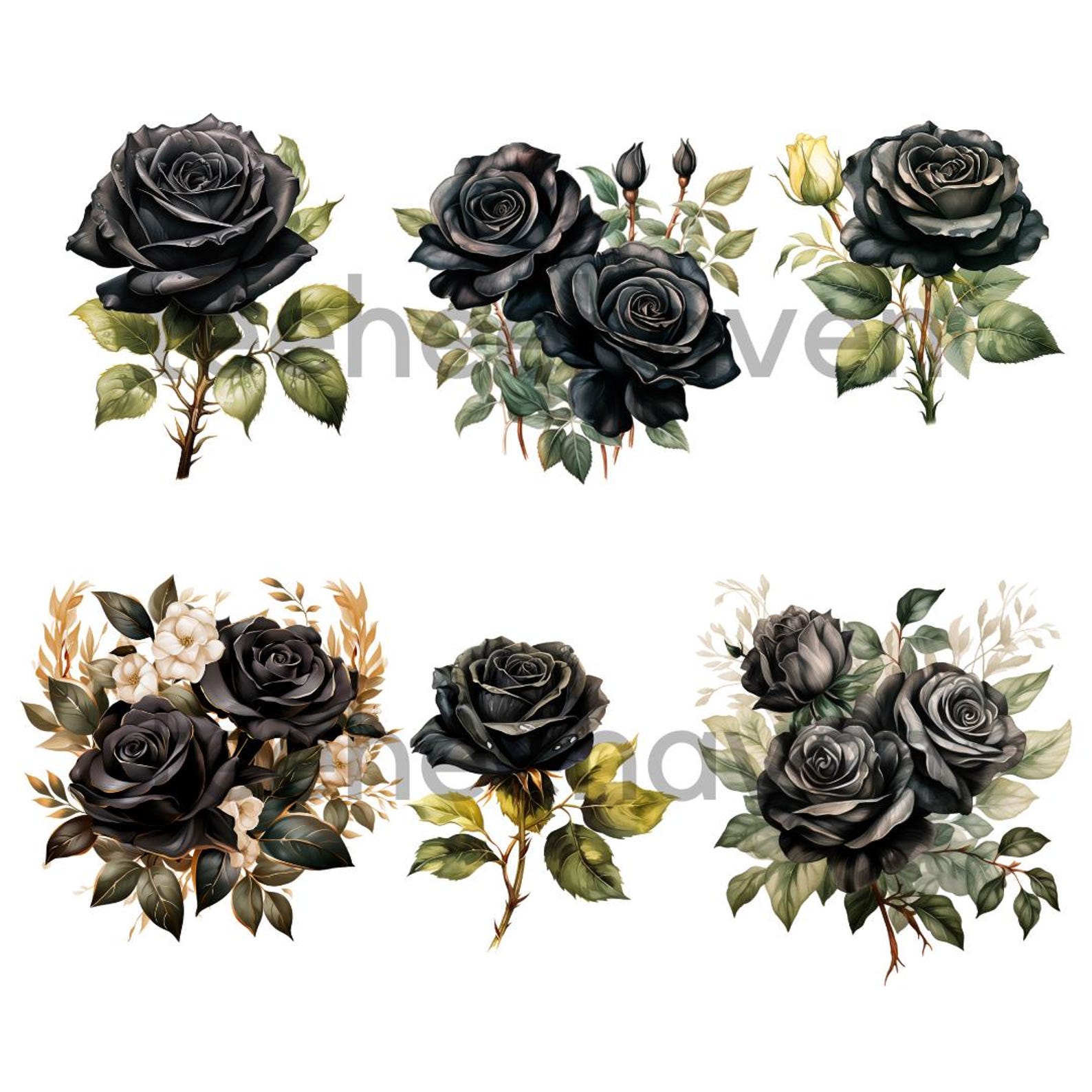 Watercolor Black Roses Clipart Bundle: PNG Floral Graphics (digital ...