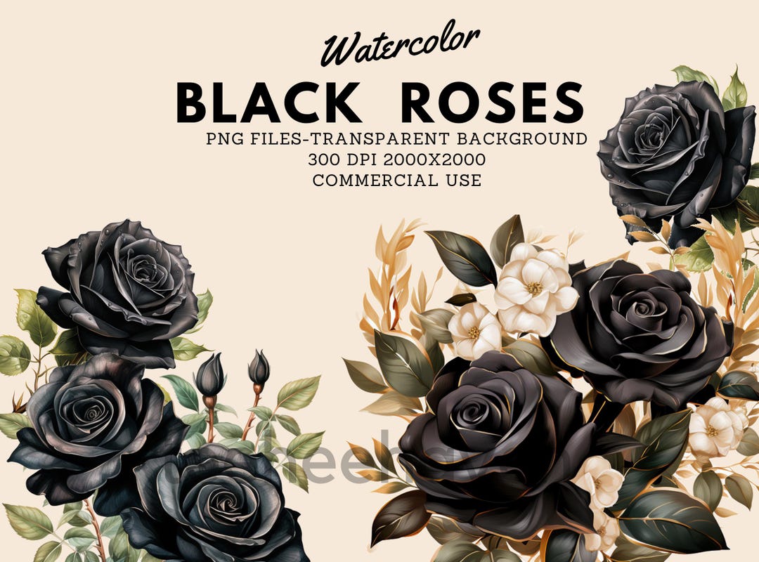 Watercolor Black Roses Clipart Bundle: PNG Floral Graphics (digital ...