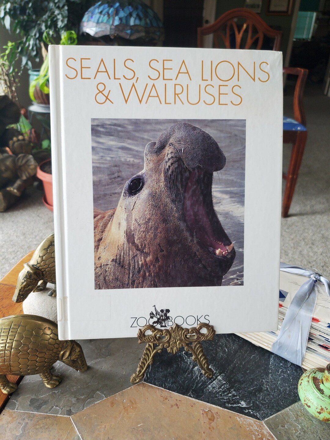 Seals, Sea Lions, and Walruses - Zoobooks - Vintage Book - 1990 - 1987 ...
