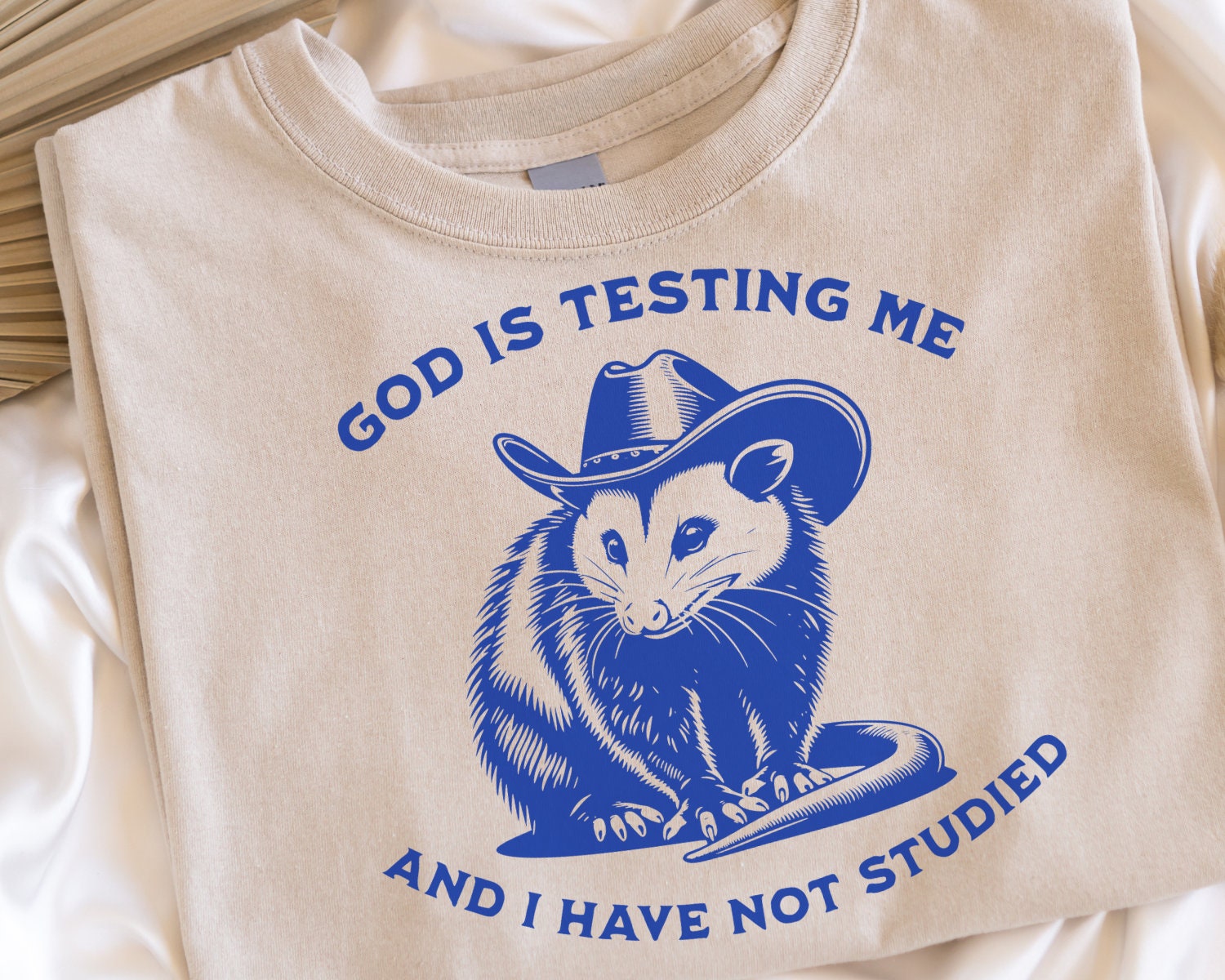 God is Testing Me Opossum PNG SVG Sublimation Design Download, Funny ...