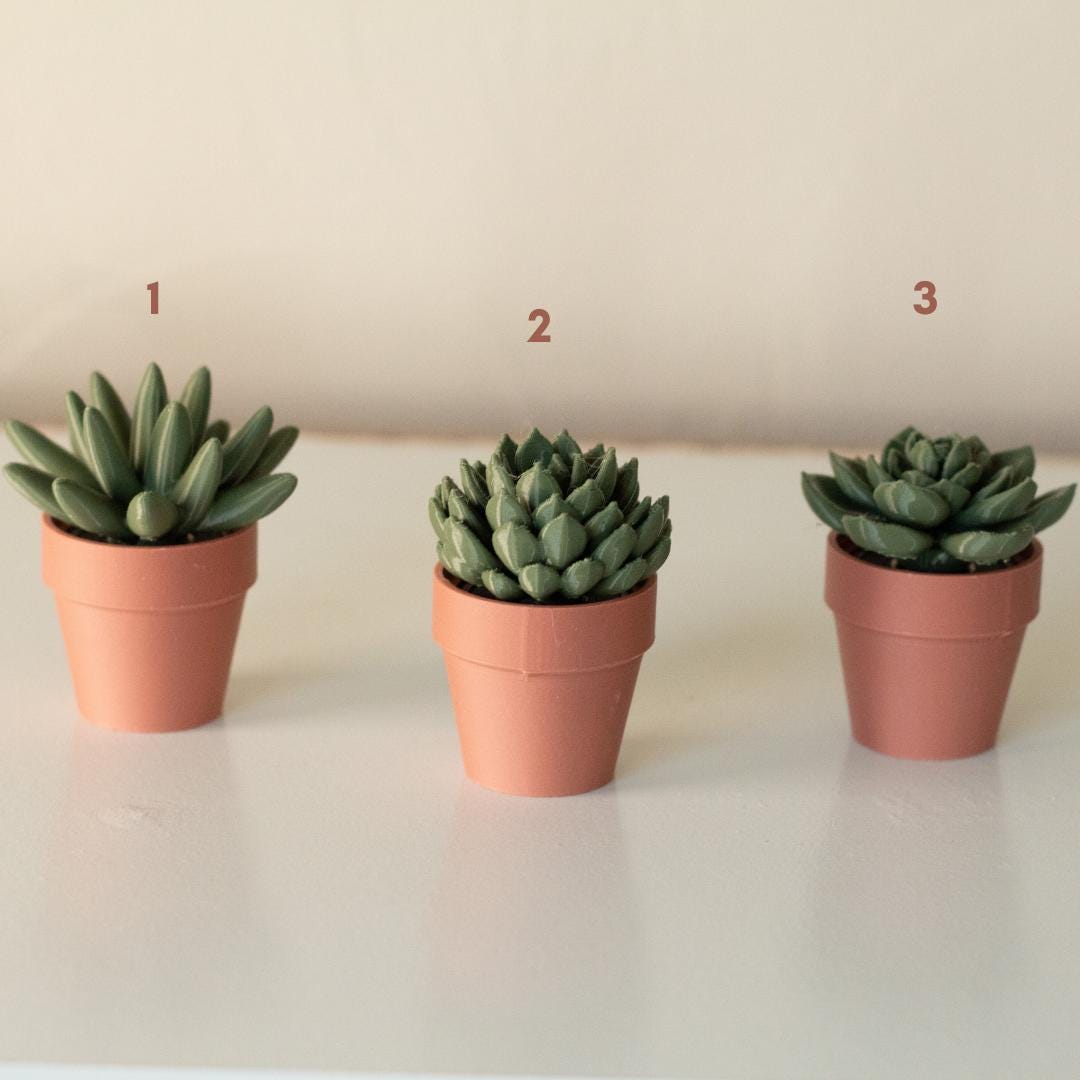 Spinny Succulent 3D Printed Fidgets - Etsy