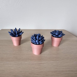 Spinny Succulent 3D Printed Fidgets - Etsy