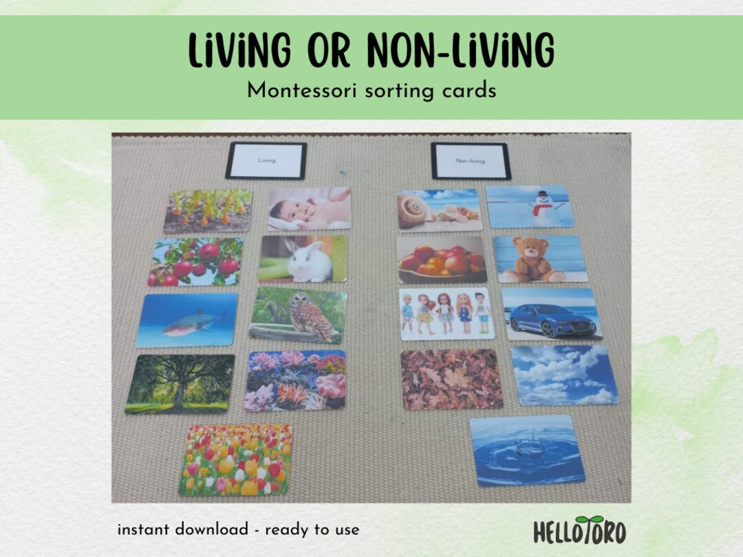 Living Non Living Sorting Cards Montessori Science - Etsy