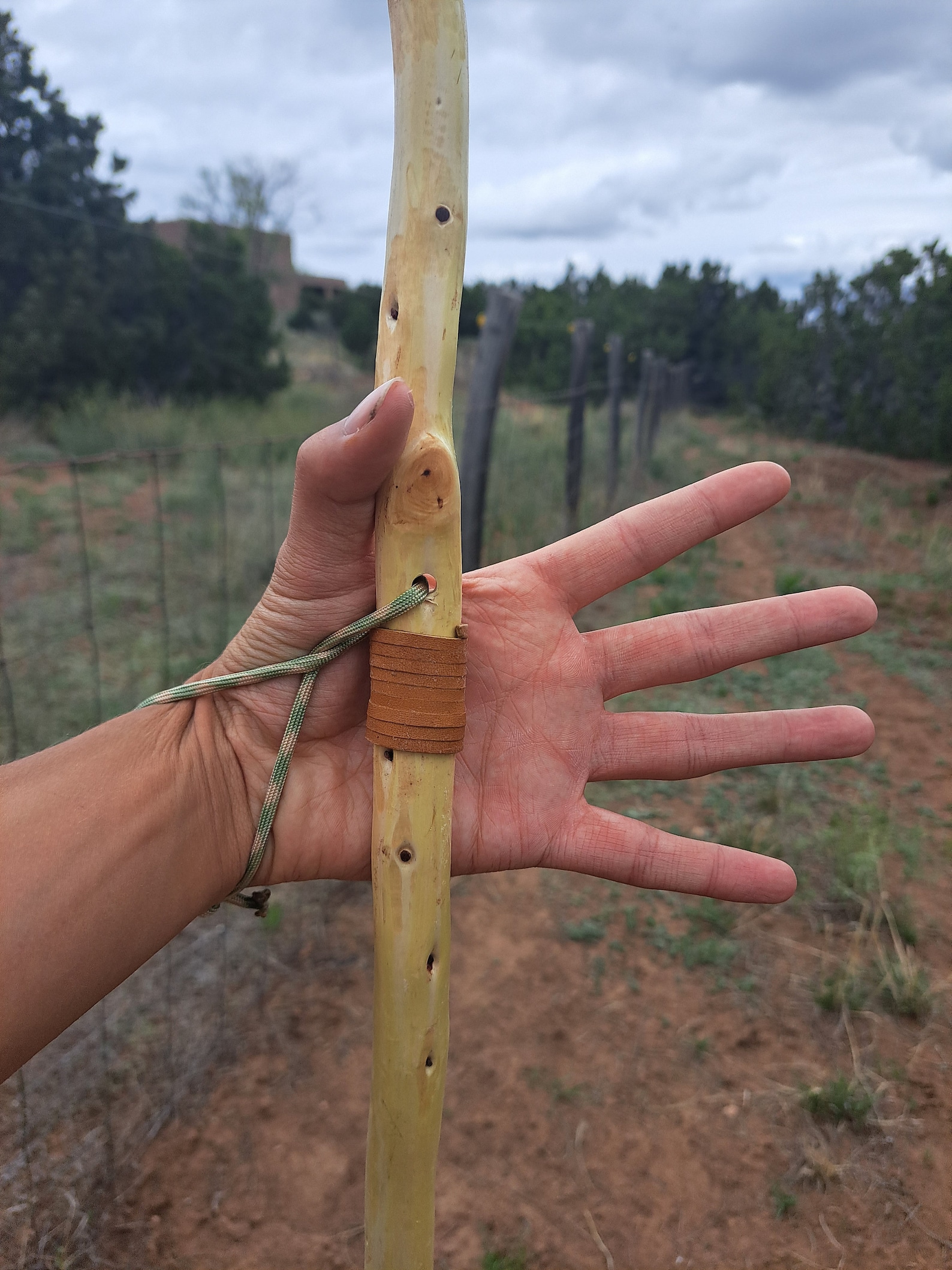 New Mexican One-seed Juniper Hiking/walking Staff, Welded Steel Tips ...