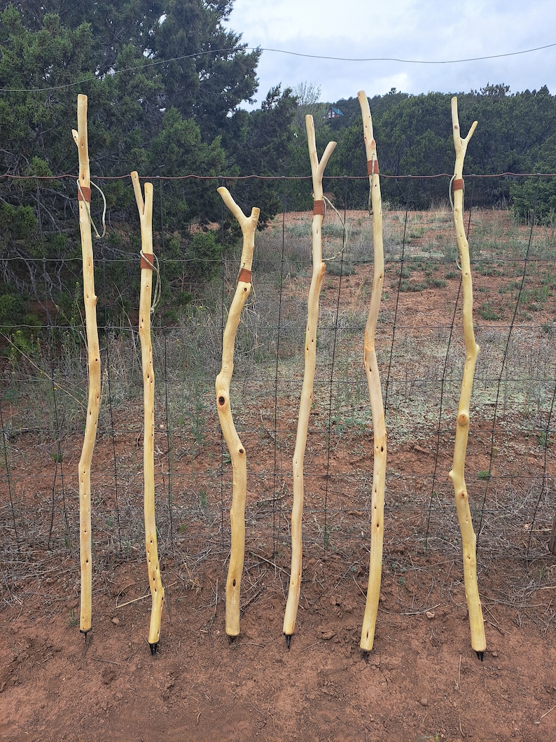New Mexican One-seed Juniper Hiking/walking Staff, Welded Steel Tips ...
