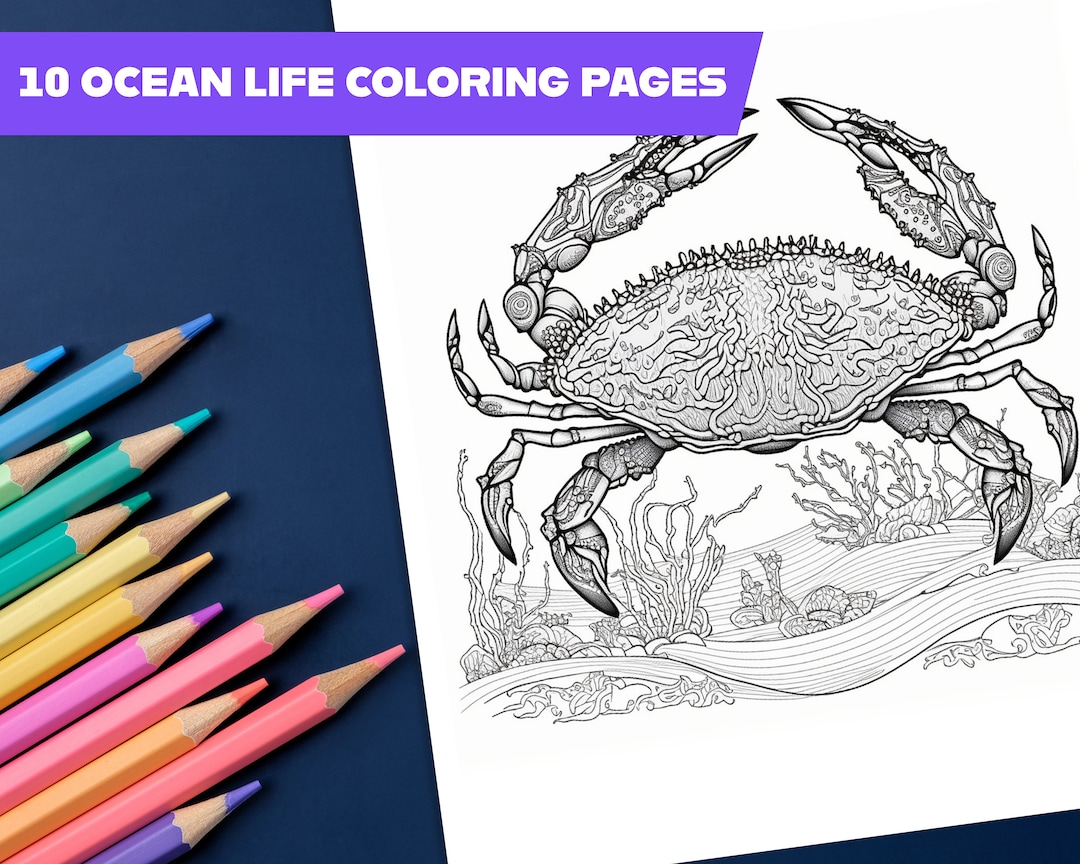 Ocean Life Coloring Book 3: 10 Pages of Printable Underwater Adventure ...