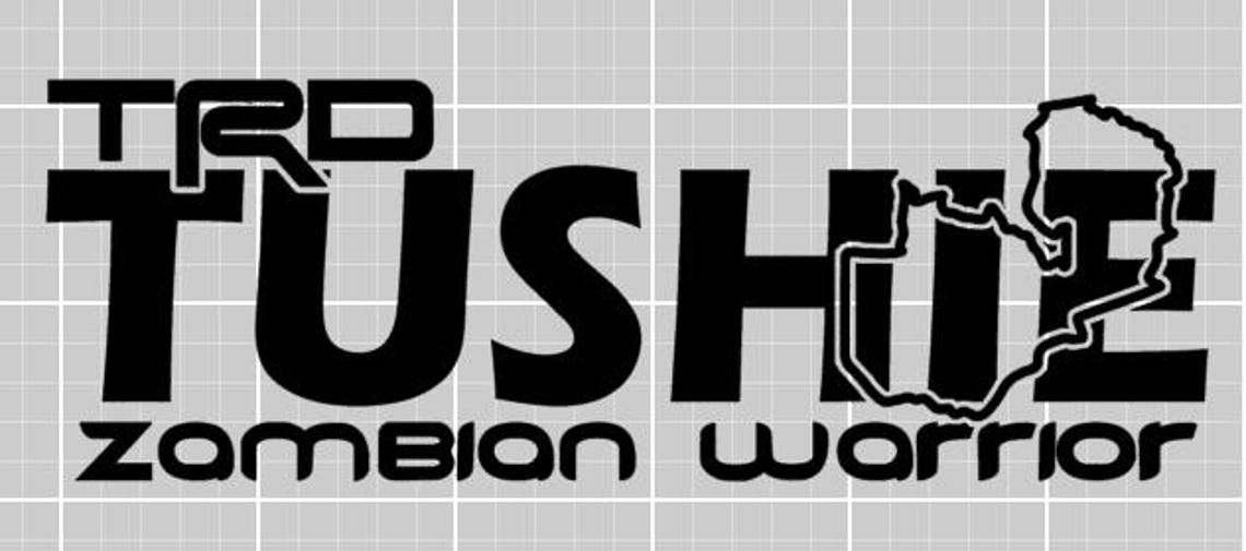 2 X Toyota TRD Custom Decals, 100% Customizable - Etsy