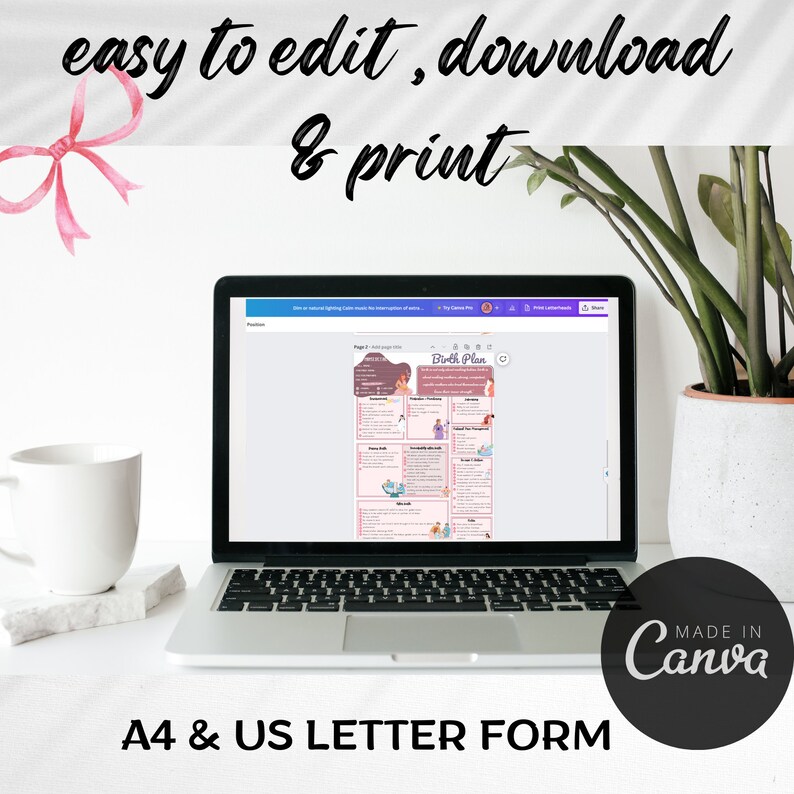 Editable Birth Plan , Birth Plan Template , Printable Birth Plan ...