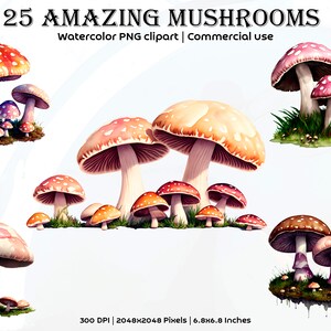Watercolor Mushrooms Clipart Bundle, 25 Transparent PNG Clipart Designs ...