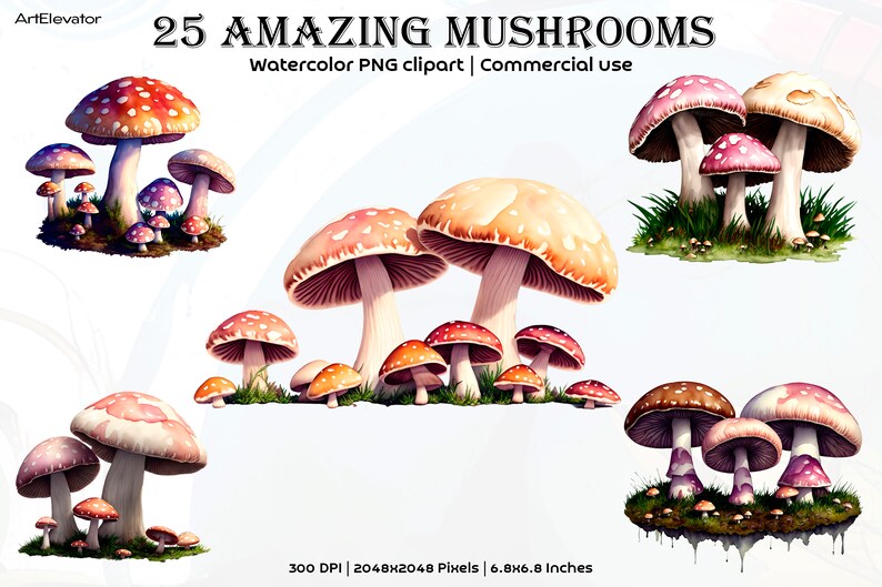Watercolor Mushrooms Clipart Bundle, 25 Transparent PNG Clipart Designs ...