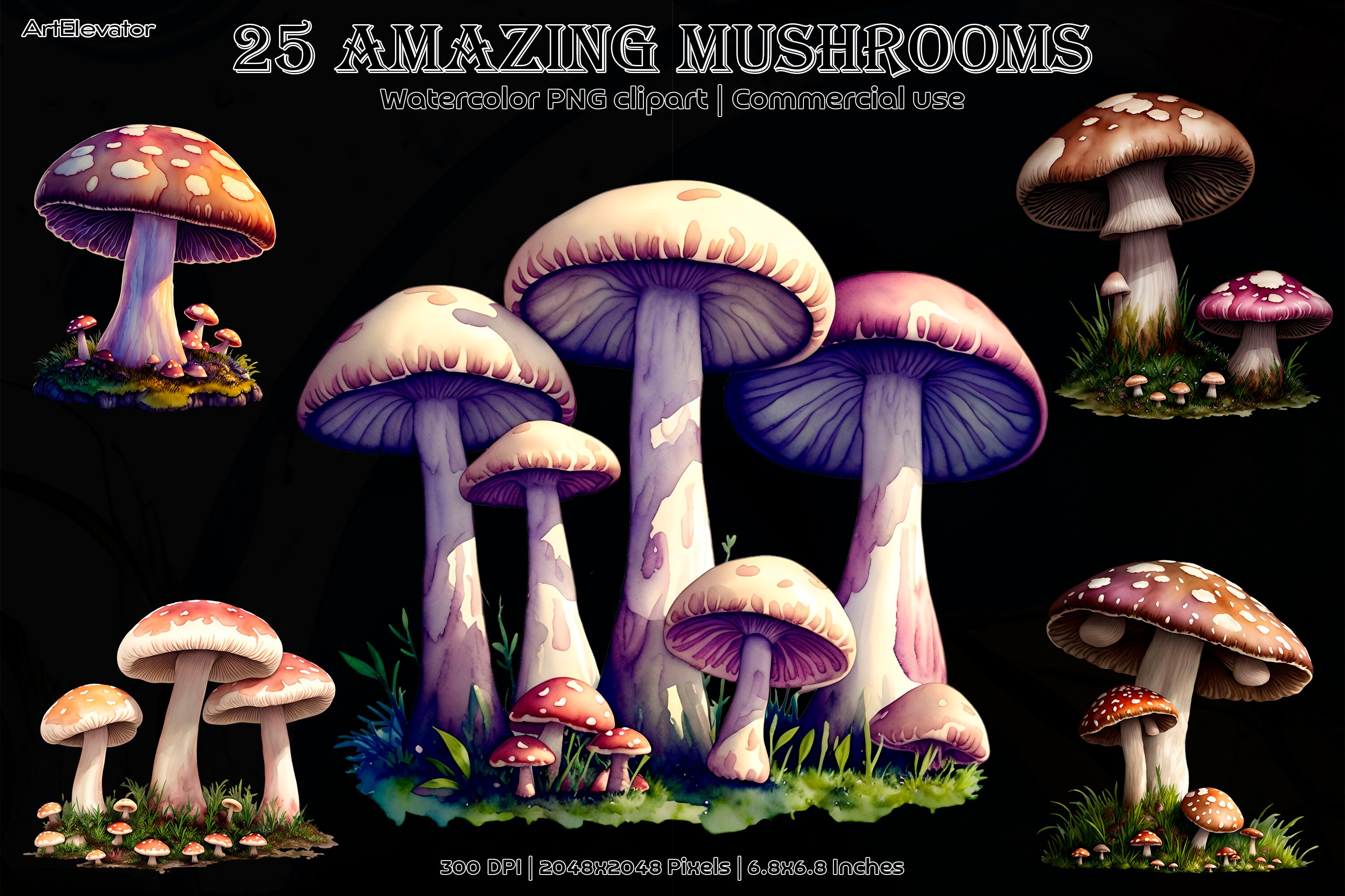 Watercolor Mushrooms Clipart Bundle, 25 Transparent PNG Clipart Designs ...