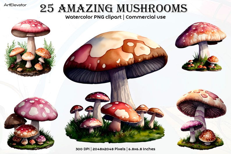 Watercolor Mushrooms Clipart Bundle, 25 Transparent PNG Clipart Designs ...