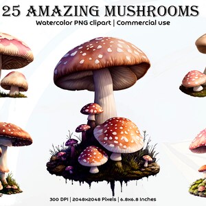 Watercolor Mushrooms Clipart Bundle, 25 Transparent PNG Clipart Designs ...