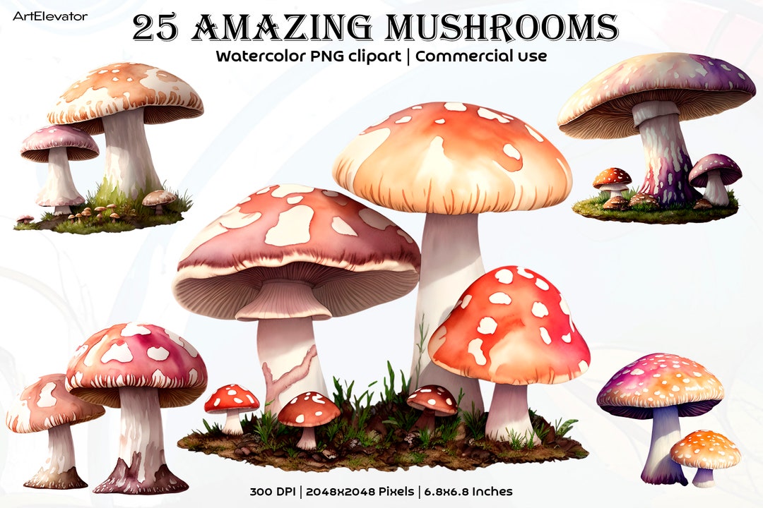 Watercolor Mushrooms Clipart Bundle, 25 Transparent PNG Clipart Designs ...