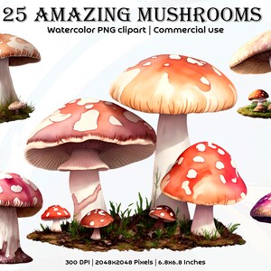Watercolor Mushrooms Clipart Bundle, 25 Transparent PNG Clipart Designs ...