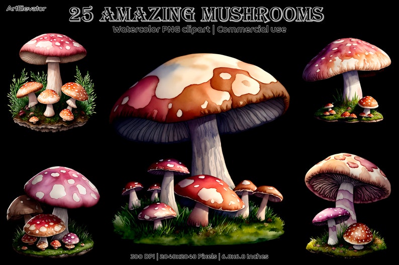 Watercolor Mushrooms Clipart Bundle, 25 Transparent PNG Clipart Designs ...