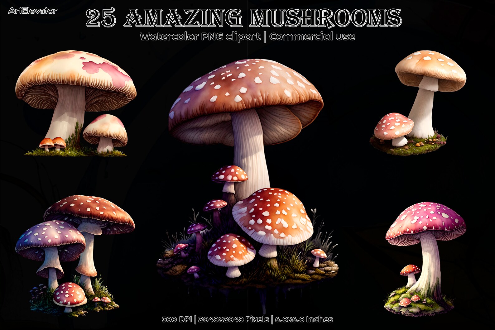 Watercolor Mushrooms Clipart Bundle, 25 Transparent PNG Clipart Designs ...