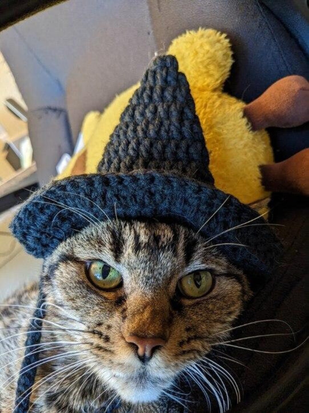 Cat Witch Hat - Etsy