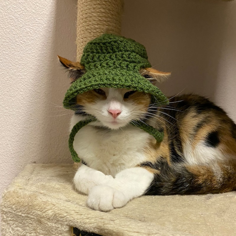 Rainbow Cat Hat - Etsy
