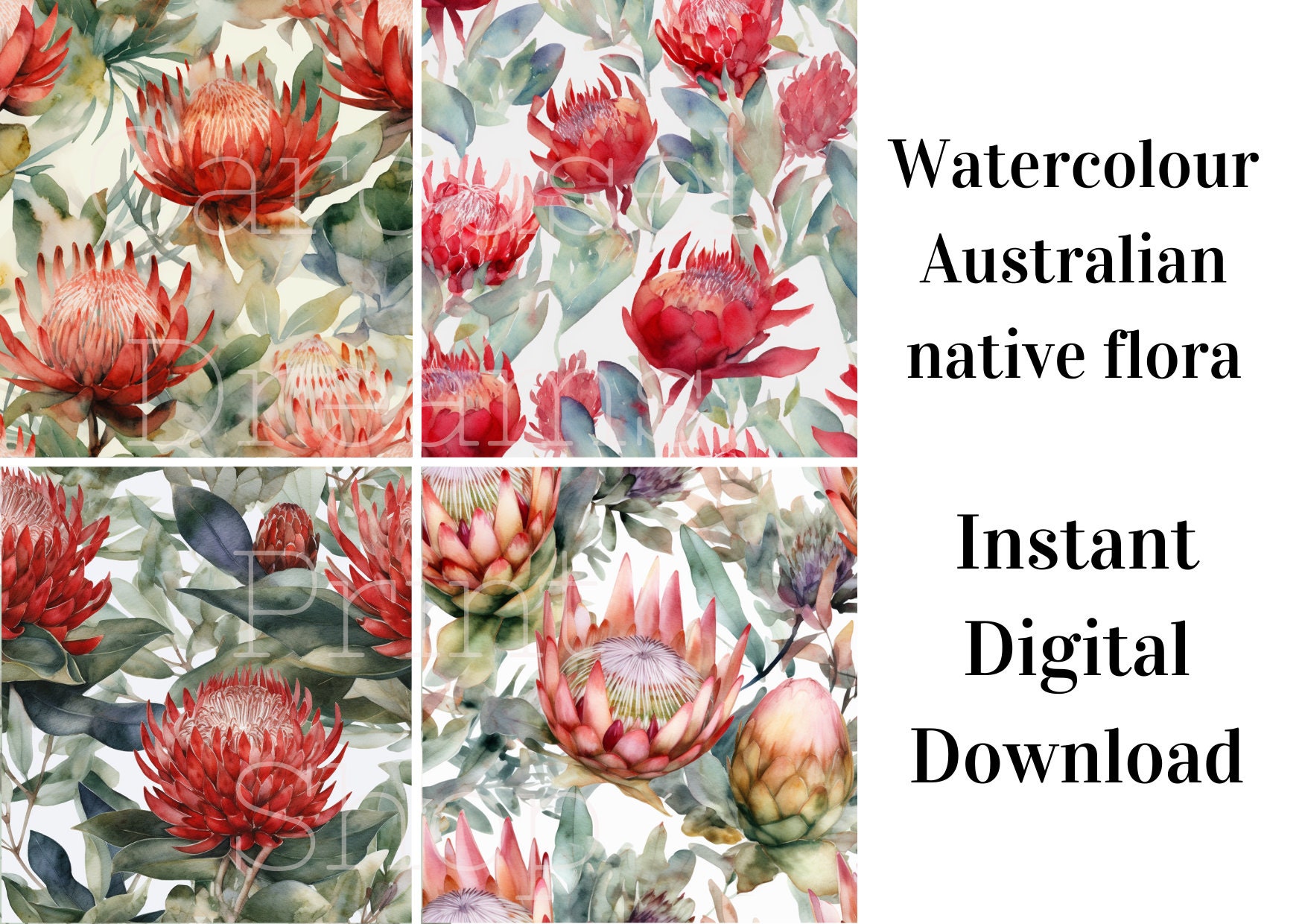 Waratah Protea & Gumnut 10 Digital Paper Pack - Instant Download ...