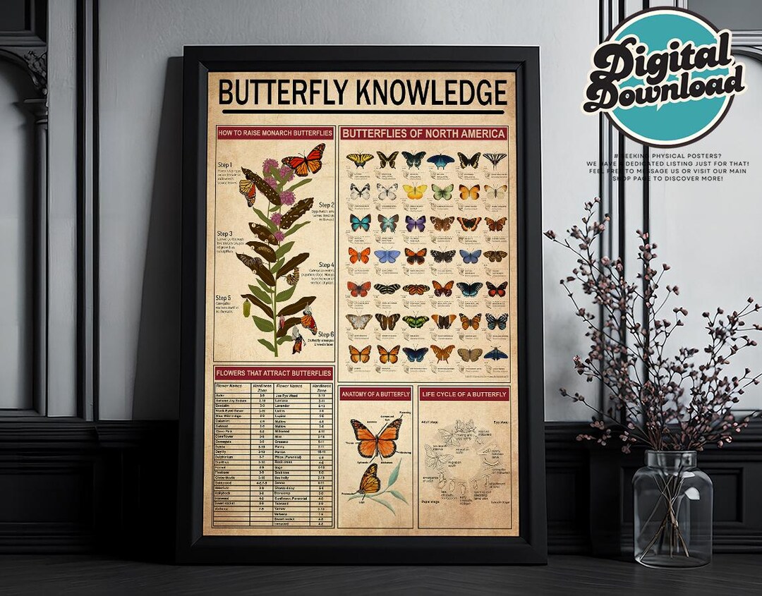 Butterfly Print Educational Butterfly Poster Butterfly Chart Printable ...