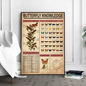 Butterfly Print Educational Butterfly Poster Butterfly Chart Printable ...