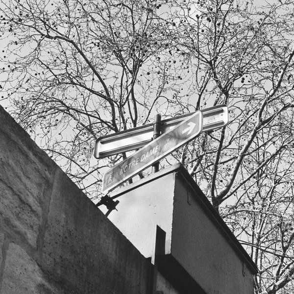 Notre Dame Street Sign - Etsy