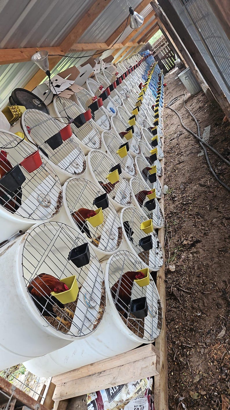 Pack With 10 Barrel Colony Round Doors 23.6" X 23.6" by Little Shop ...