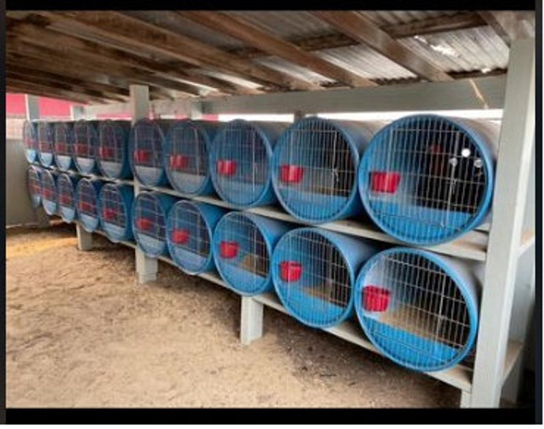 Pack With 10 Barrel Colony Round Doors 23.6" X 23.6" by Little Shop ...