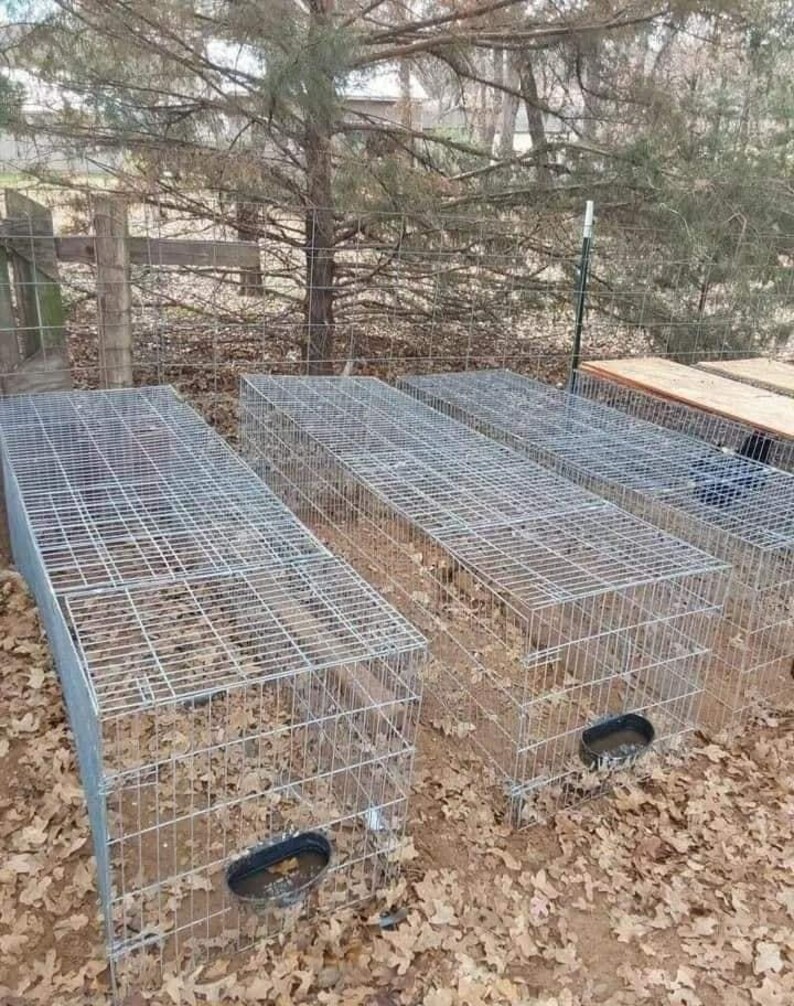Set of 3 Runner Pens – 6 Ft X 2 Ft X 2 Ft – Galvanized Steel Cages ...