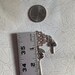 Unique Branded Skeleton Key Magnet | Eye-catching Silver Tone Design ...