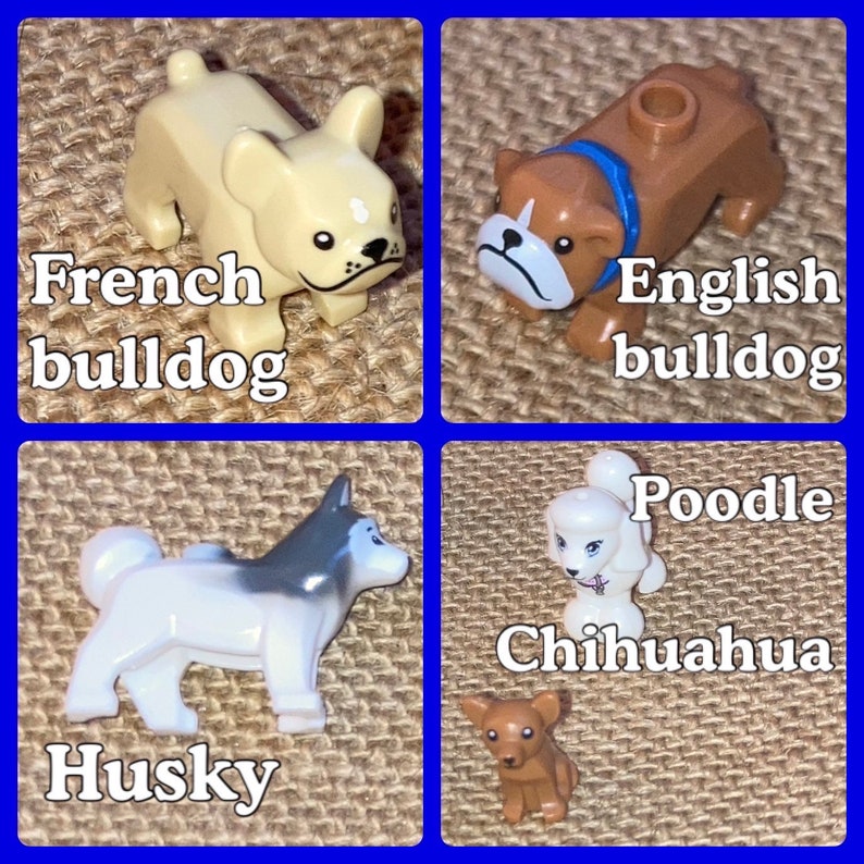 Lego Dogs & Adoption Bundles - Etsy